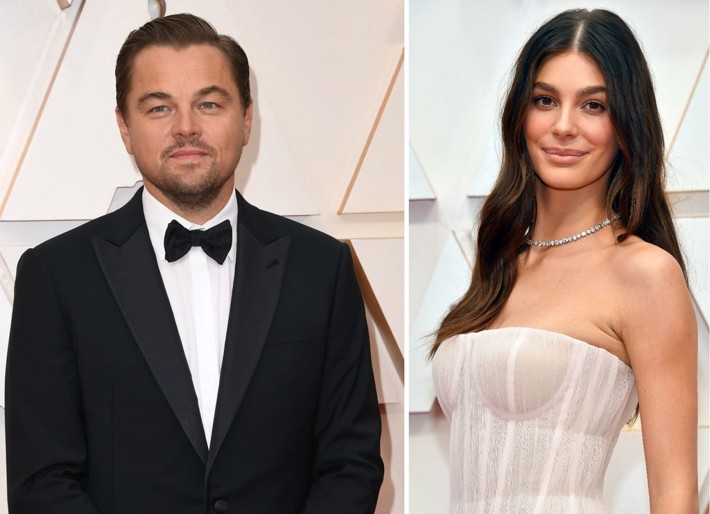 Leonardo Dicaprio Weint Collage