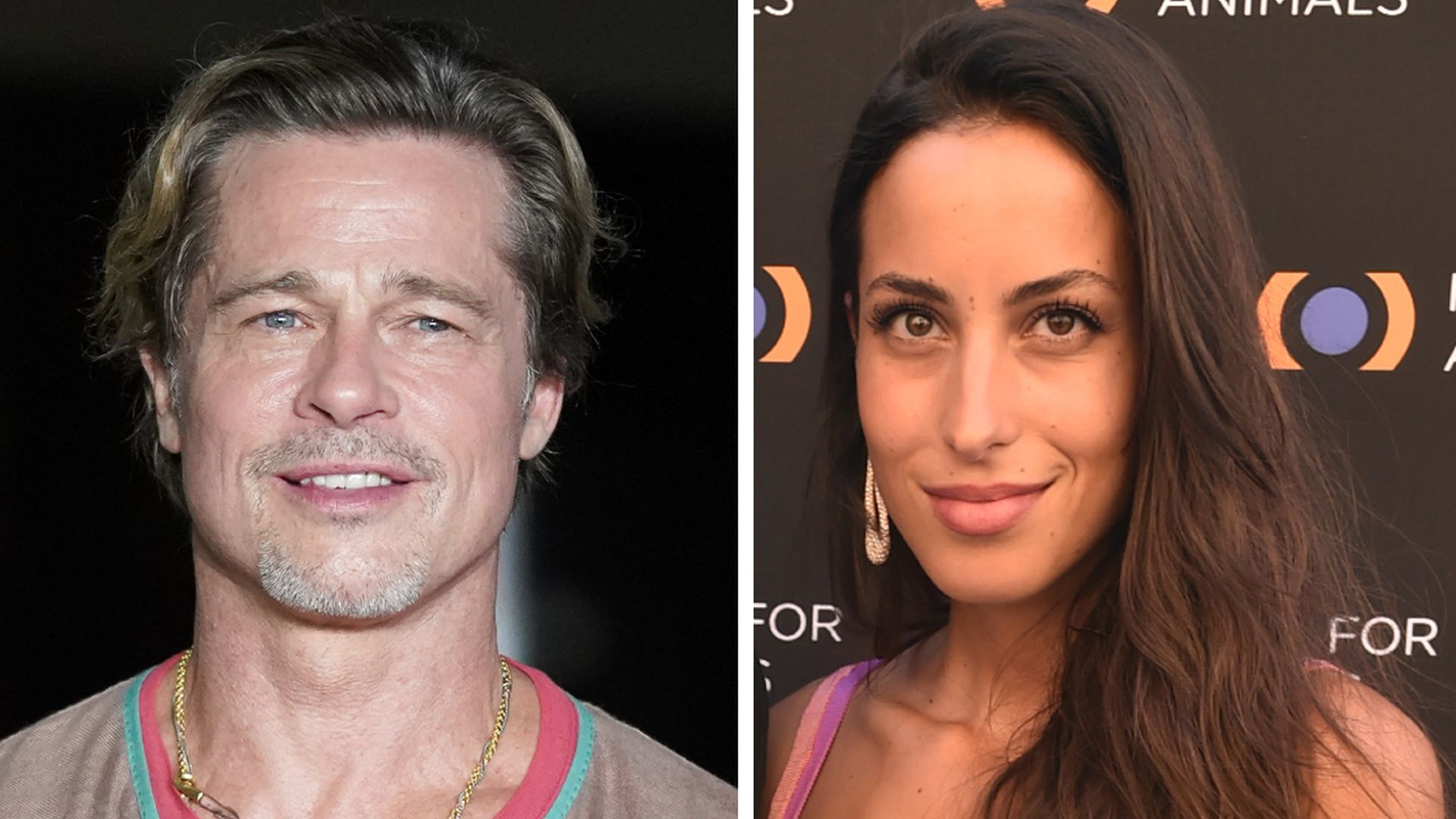 Verliebt? Brad Pitt und Ines De Ramon sind unzertrennlich