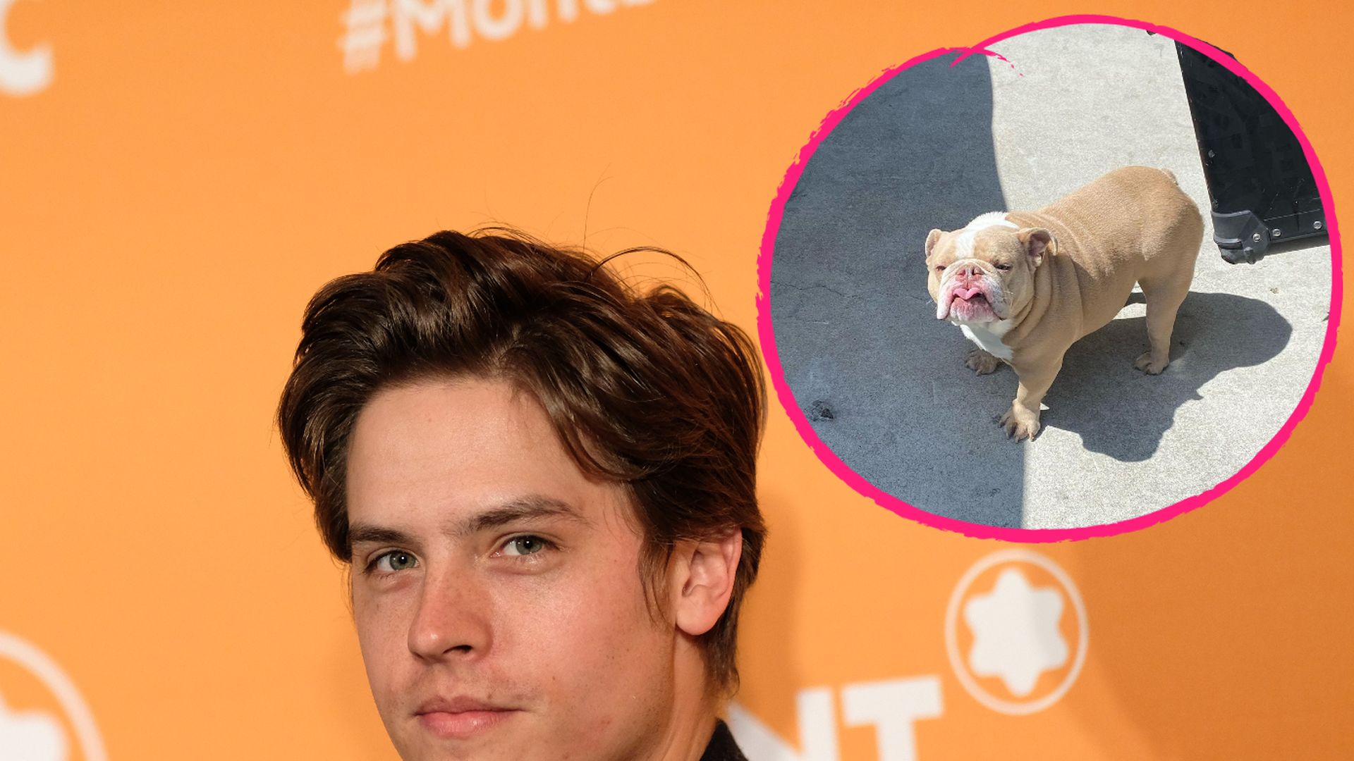 "Er war zu jung": Dylan Sprouse trauert um seinen Hund!