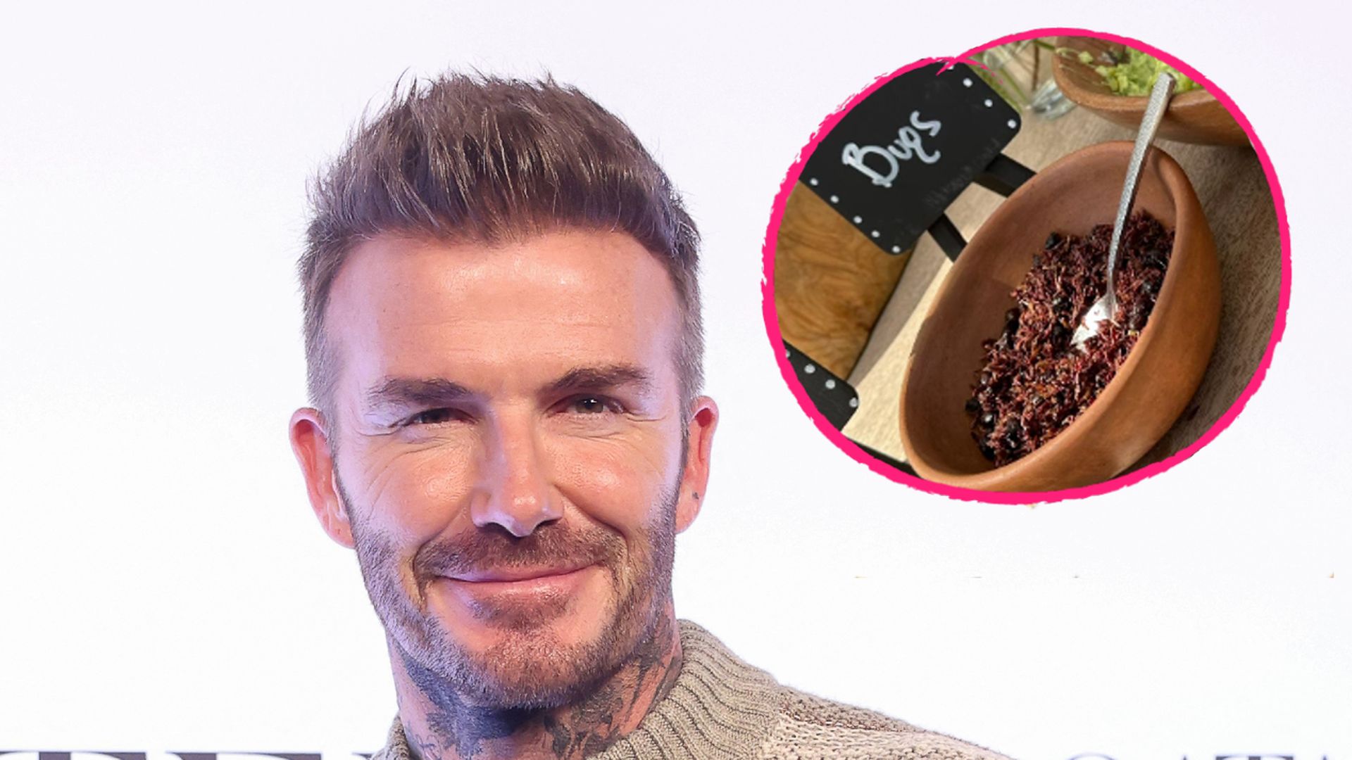 Gourmet in Mexiko: Isst David Beckham Ameisen und Käfer?