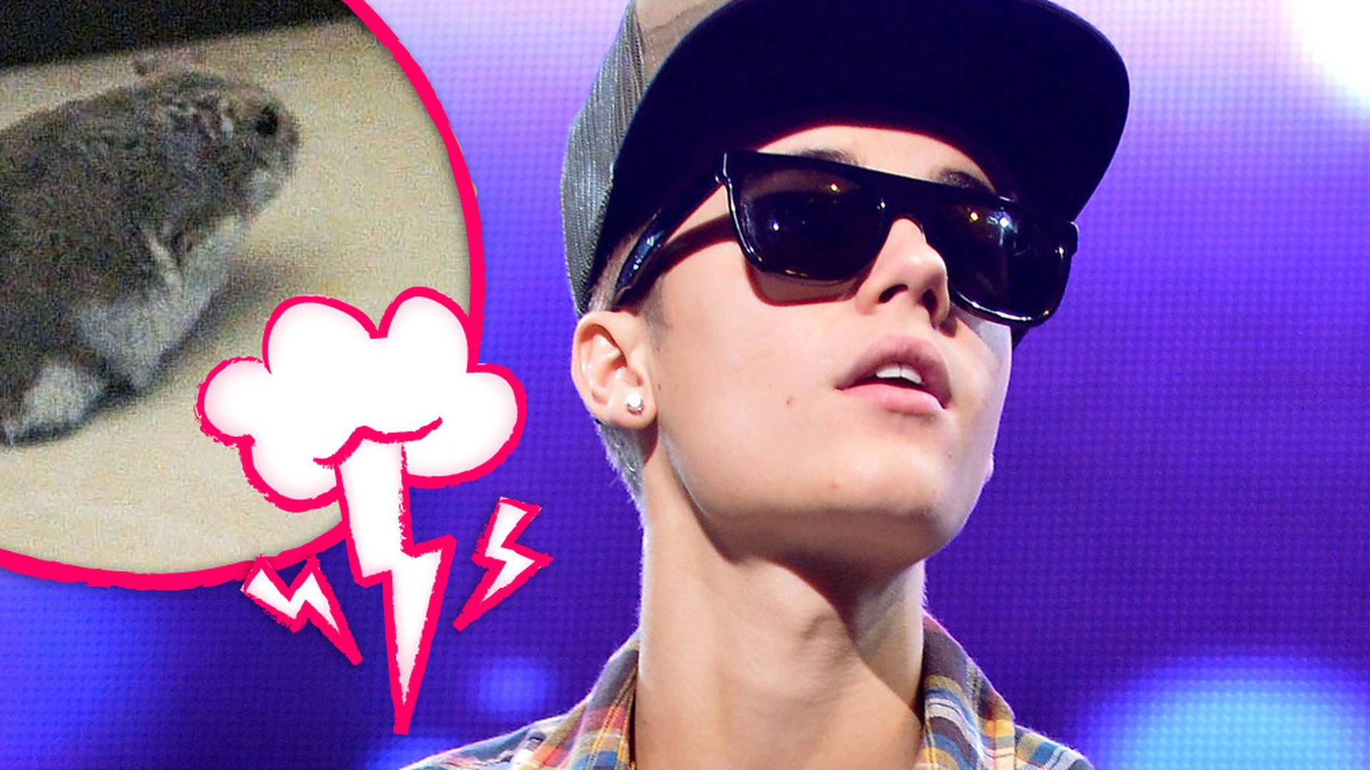 Justin Bieber: Angeklagt wegen Tierquälerei! | Promiflash.de