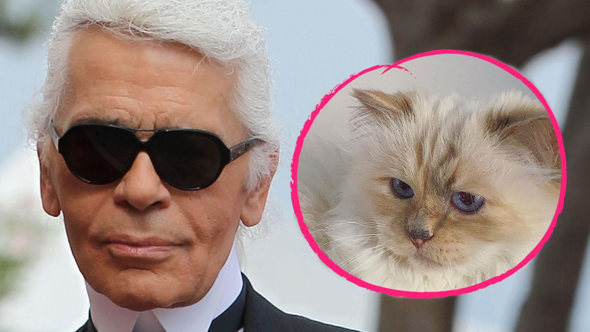Karl Lagerfelds Katze steht auf der Gästeliste der Met Gala!