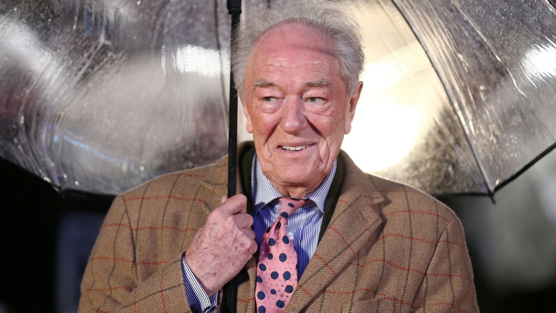 Filmstar Michael Gambon (†82) wurde mit 68 noch mal Vater