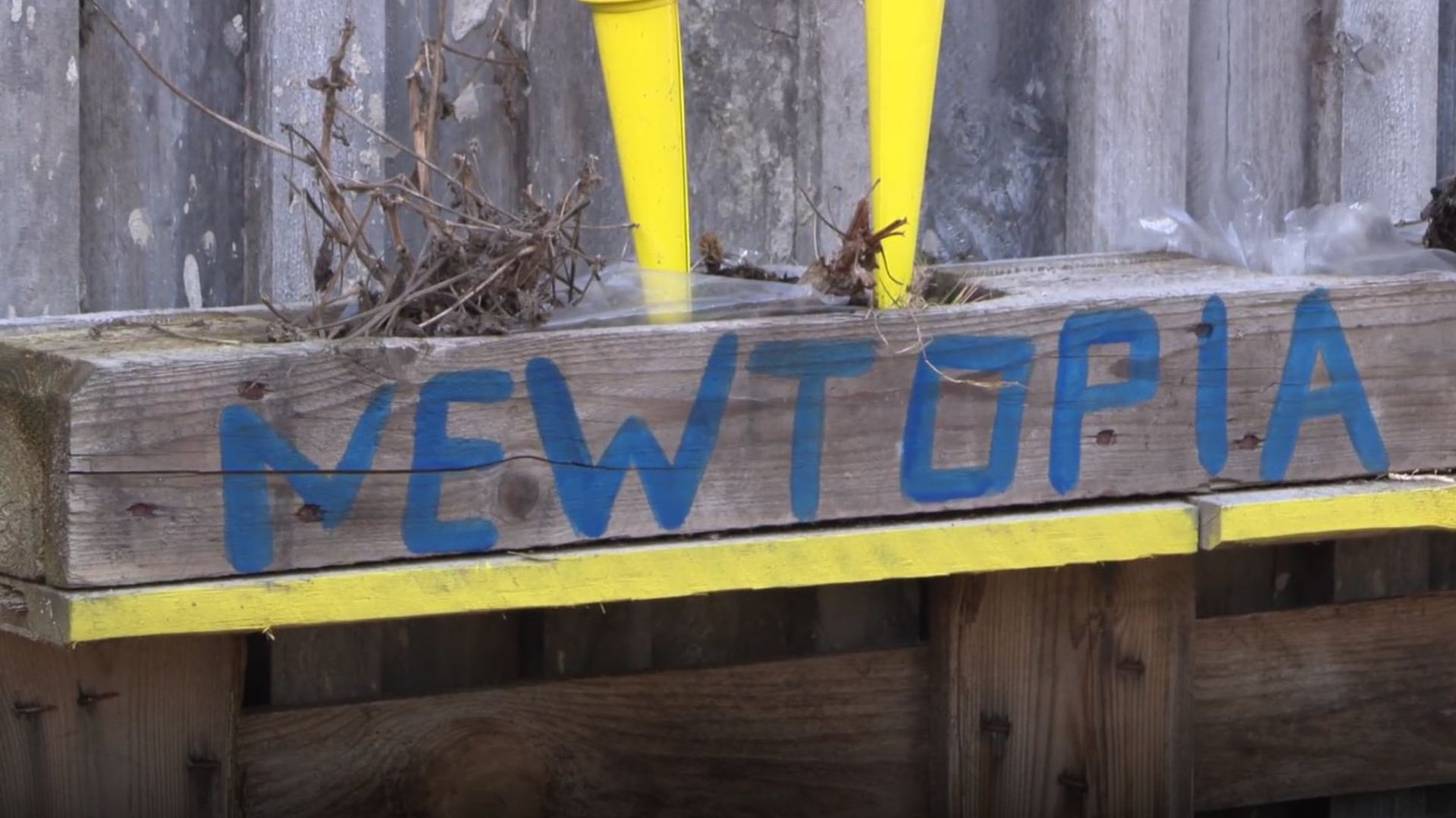 Vorwurf: Läuft "Newtopia" doch nach Drehbuch?