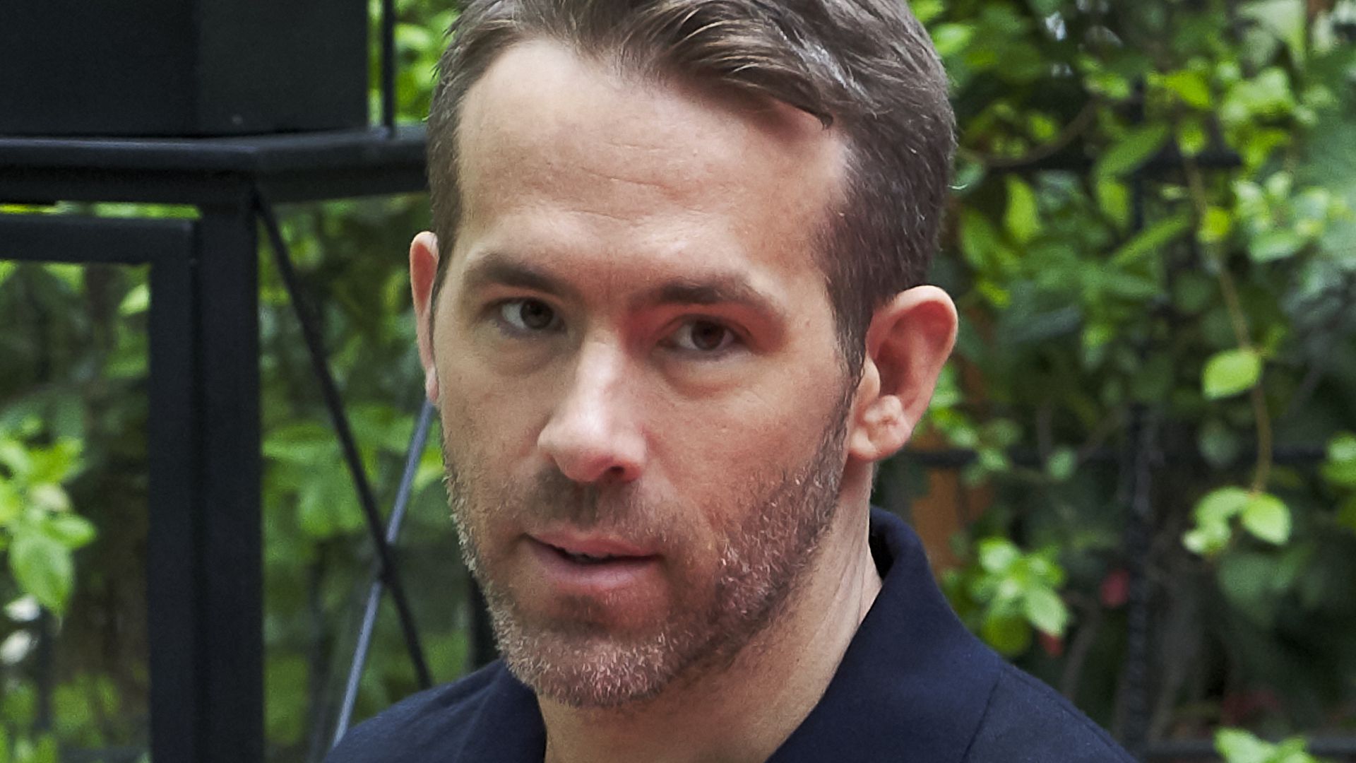 Muskel-Protz Ryan Reynolds hat einen neuen Trainingskumpel | Promiflash.de