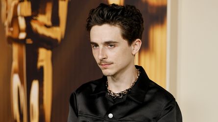 Seldon Lycurgus: Elon Musk begrüßt 14. Kind auf der Welt