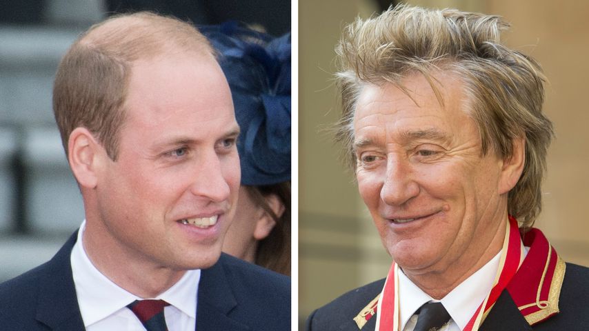 Riesen Ehre: Prinz William schlägt Rod Stewart zum Ritter! | Promiflash.de