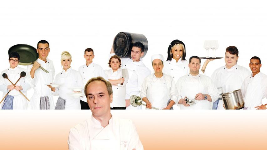 RTL zeigt Ekel-Horror beim Schlachter! | Promiflash.de