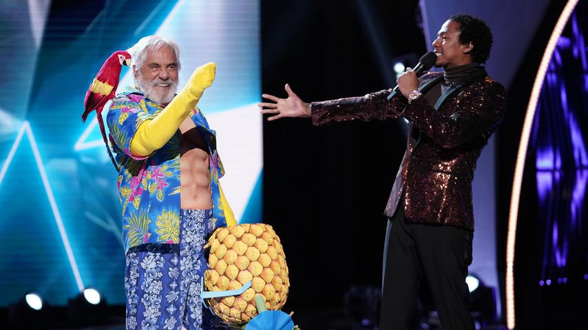 Bei uns auch? So crazy waren die US-"Masked Singer"-Kostüme ...