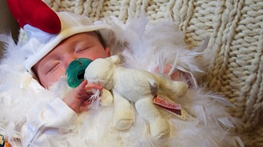 Niedlich! Jimmy Fallons Tochter als Baby-Truthahn | Promiflash.de